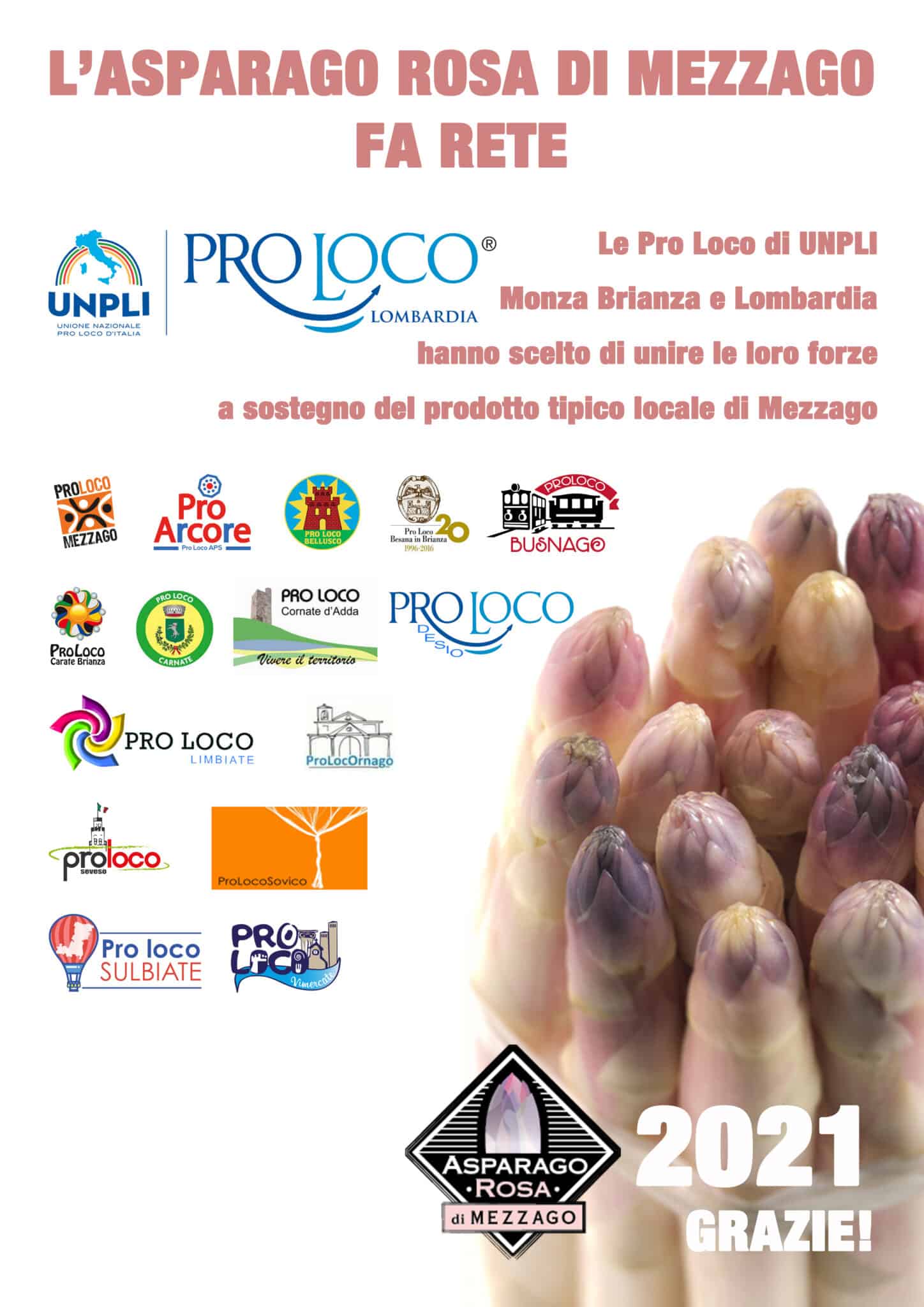 L'Asparago Rosa di Mezzago fa Rete - Pro Loco Mezzago APS